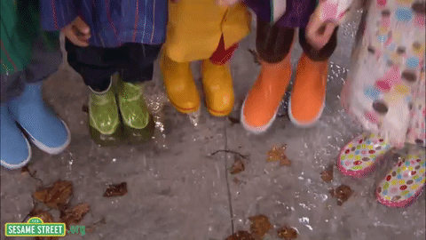 Puddles GIFs - Get the best gif on GIFER