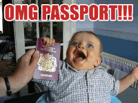 Passport GIFs - Get the best gif on GIFER