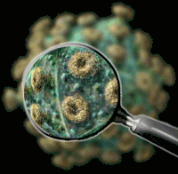 Virus GIFs - Get the best gif on GIFER