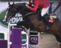 Leaping GIFs - Get the best gif on GIFER