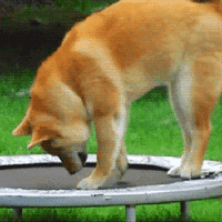 Digging GIFs - Get the best gif on GIFER