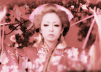 First order GIFs - Get the best gif on GIFER