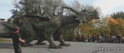 Dragonsource GIFs - Get the best gif on GIFER
