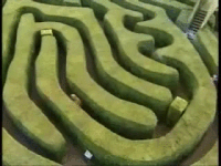 Mazes GIFs - Get the best gif on GIFER
