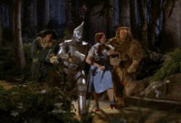 Oz GIFs - Get the best gif on GIFER
