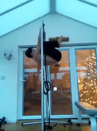 Posture GIFs - Get the best gif on GIFER