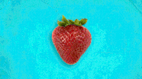 Fruit GIFs - Get the best gif on GIFER