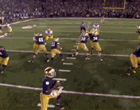 Picksix GIFs - Get the best gif on GIFER