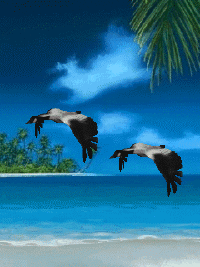 Blackberrys GIFs - Get the best gif on GIFER