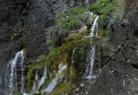 Babbling GIFs - Get the best gif on GIFER