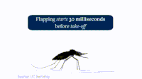 Mosquitoes GIFs - Get the best gif on GIFER