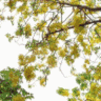 Cte GIFs - Get the best gif on GIFER