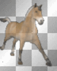 Horse GIFs - Get the best gif on GIFER