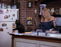 Salem GIFs - Get the best gif on GIFER