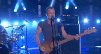 Sting GIFs - Get the best gif on GIFER