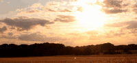 Dusk GIFs - Get the best gif on GIFER