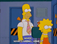 Whee GIFs - Get the best gif on GIFER