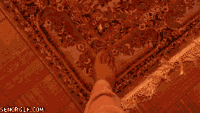Rugs GIFs - Get the best gif on GIFER