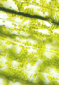 Tissue GIFs - Get the best gif on GIFER