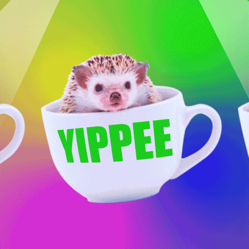 Yippee GIFs - Get the best gif on GIFER