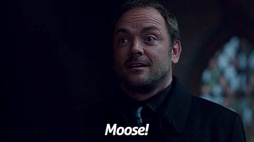 Third trial GIFs - Get the best gif on GIFER