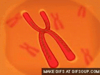 Cancer GIFs - Get the best gif on GIFER