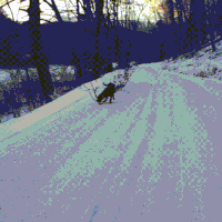 Ramas GIFs - Get the best gif on GIFER