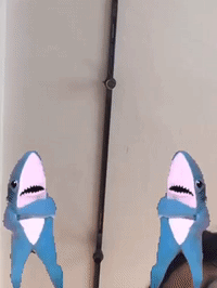 Beta GIFs - Get the best gif on GIFER