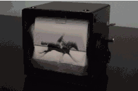 Product GIFs - Get the best gif on GIFER