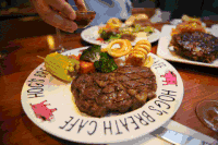 Branch GIFs - Get the best gif on GIFER