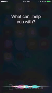 Siri GIFs - Get the best gif on GIFER