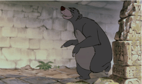 Baloo GIFs - Get the best gif on GIFER