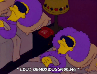 Snore GIFs - Get the best gif on GIFER