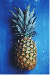 Pepper GIFs - Get the best gif on GIFER