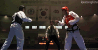 Taekwondo GIFs - Get the best gif on GIFER