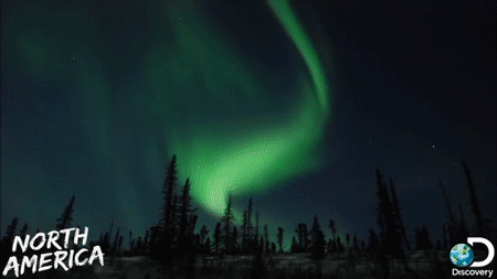 Discovery channel north america GIF - Conseguir o melhor gif em GIFER