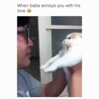 Tolerance GIFs - Get the best gif on GIFER
