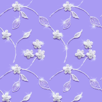 Lace GIFs - Get the best gif on GIFER