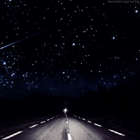 Memory GIFs - Get the best gif on GIFER