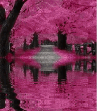 Tree GIFs - Get the best gif on GIFER