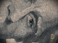 Currencies GIFs - Get the best gif on GIFER