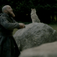 Viking GIFs - Get the best gif on GIFER