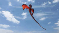 Kite GIFs - Get the best gif on GIFER