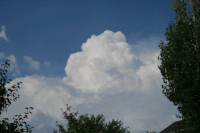 Lebanon GIFs - Get the best gif on GIFER