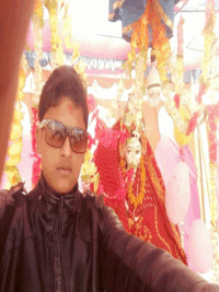 Tmp GIFs - Get the best gif on GIFER