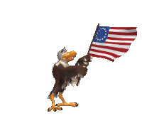 Usa GIFs - Get the best gif on GIFER