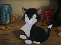 Sprouting GIFs - Get the best gif on GIFER