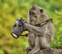 Google GIFs - Get the best gif on GIFER