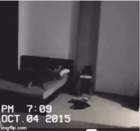 Imgflip GIFs - Get the best gif on GIFER