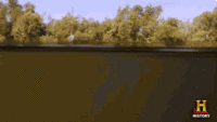 Bayou GIFs - Get the best gif on GIFER